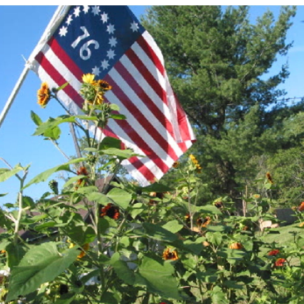 Super-Poly Flags - Outdoor Flags Fly in the Slightest Breeze - Great V ...
